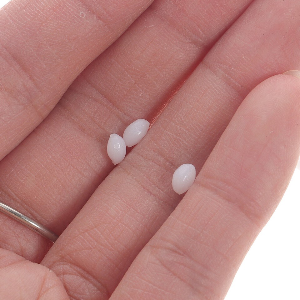 Polymorph Beads Thermoplastic Crystal Clay Mold-Able Pellets Child | eBay