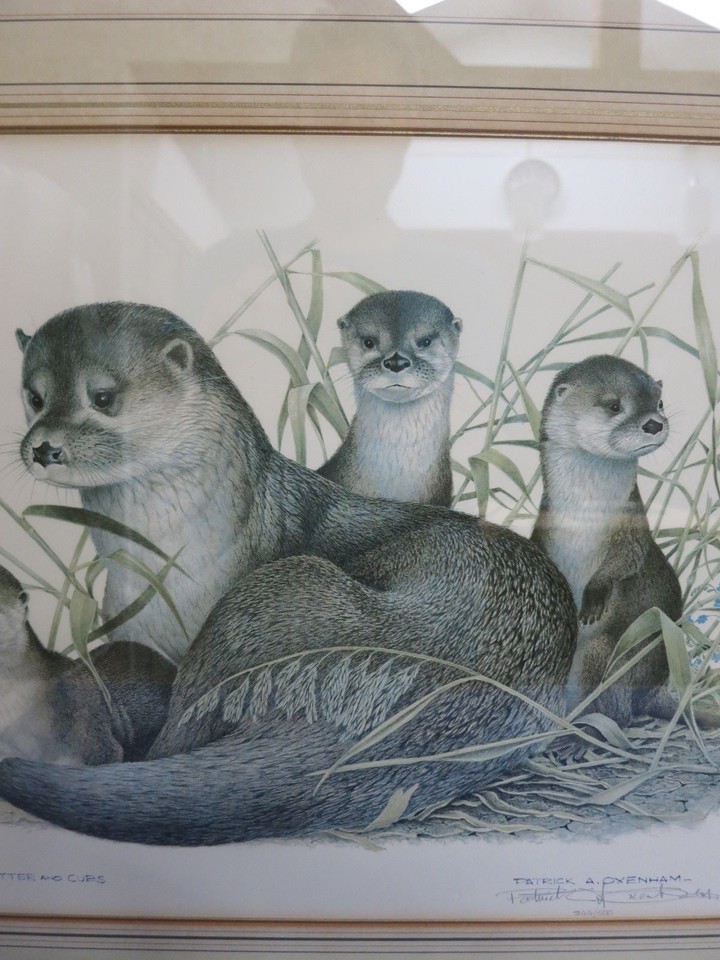 c.1970 SIGNED Print 244/500 ~PATRICK OXENHAM~ Otter & Cubs 25" FRAMED ...