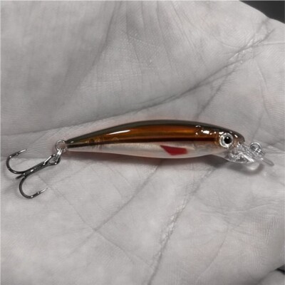 Dynamic Lures MICRO HD TROUT (Redfin Shiner) Fishing Lure 1.5" | eBay