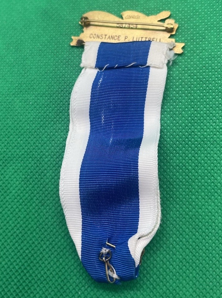 Vintage DAR Daughters American Revolution Ex-Chapter Regent Pin JE ...