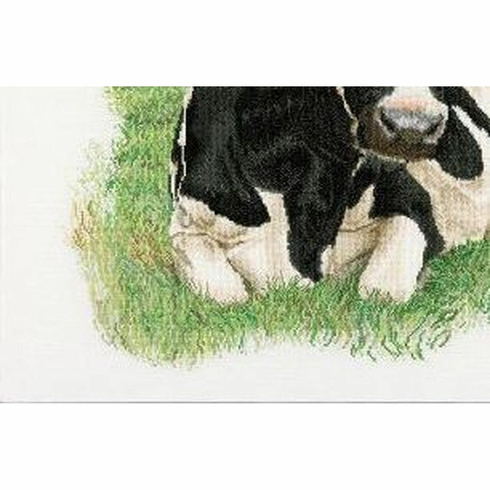Kit a punto croce Mucca Di Viso 451 thea gouverneur Lino | eBay