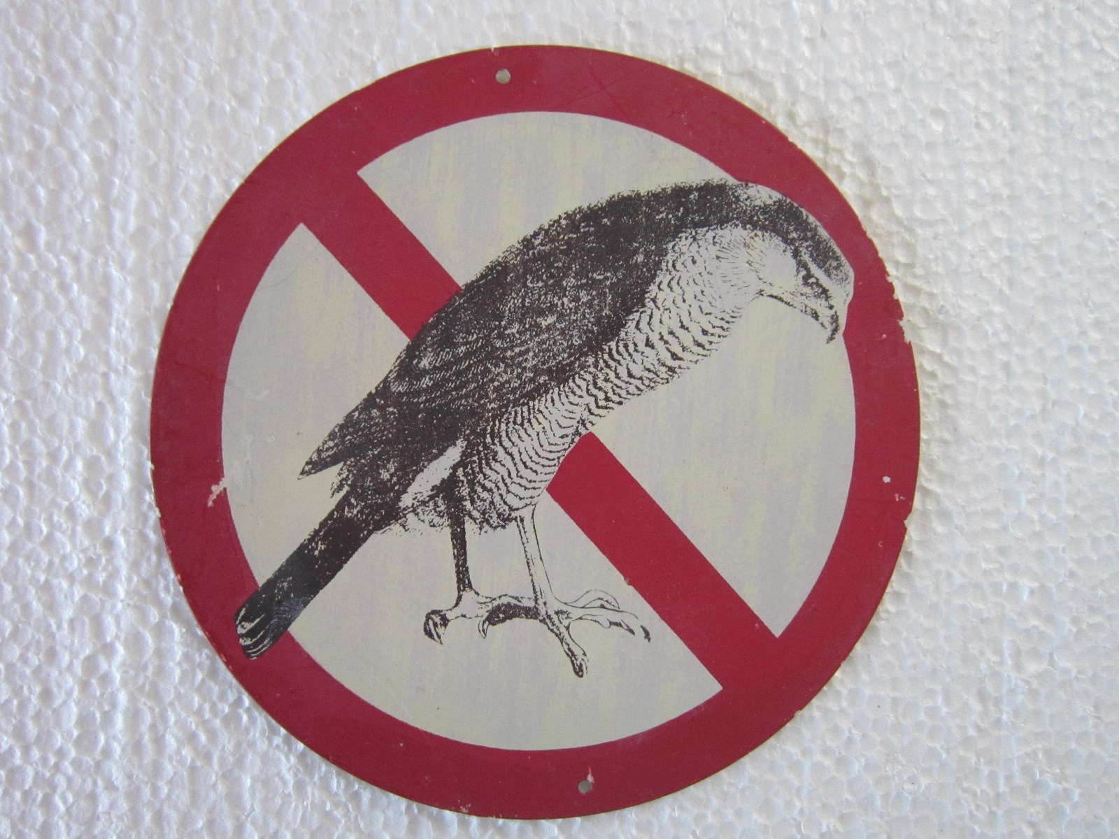 Set of Five Bird Caution Signs Hummingbird Songbird Hawk Plasma Cut ...