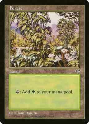 MTG Forest (C) Mirage NM Basic Land | eBay Australia