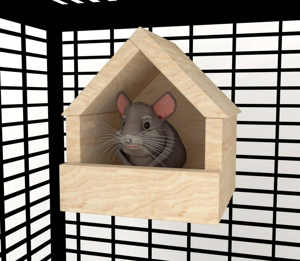 Chinchilla House