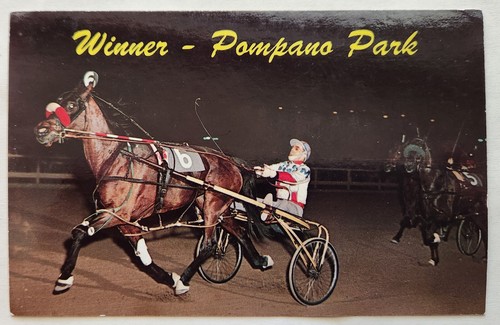 POMPANO PARK HARNESS RACING TRACK POMPANO FLORIDA VINTAGE POSTCARD ...