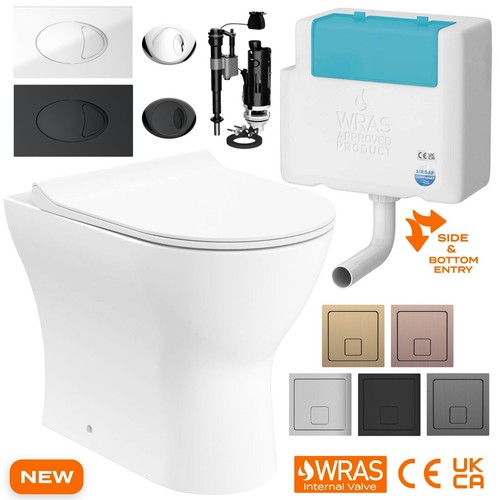 Back To Wall Toilet Rimless D Shape BTW Pan & Dual Flush Concealed ...