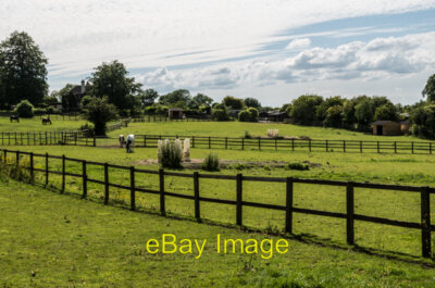 Photo 6x4 Wildwoods Riding Centre Tadworth Paddocks on the outskirts of ...