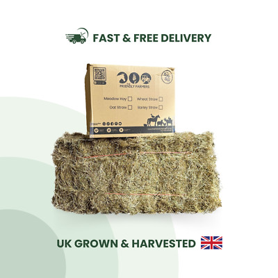 Timothy Hay Grass Box High Nutrition Fresh Green Natural Rabbit Guinea ...