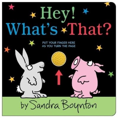 Sandra Boynton Hey! What's That? (Board Book) (UK IMPORT) 9781665952187 ...
