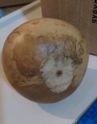 Meadowbrooke Gourd Snowman Handcrafted with Corncob Pipe | eBay