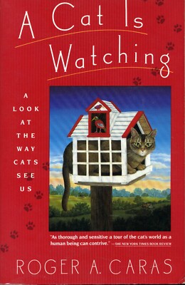 A CAT IS WATCHING- Roger A. Caras- How Cats See Us PB NEW 9780671724436 ...