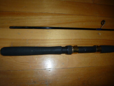 Spinning - Daiwa Apollo