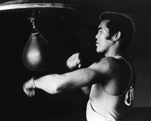 Cuban Boxer TEOFILO STEVENSON Glossy 8x10 Photo Amateur Boxer Portait ...