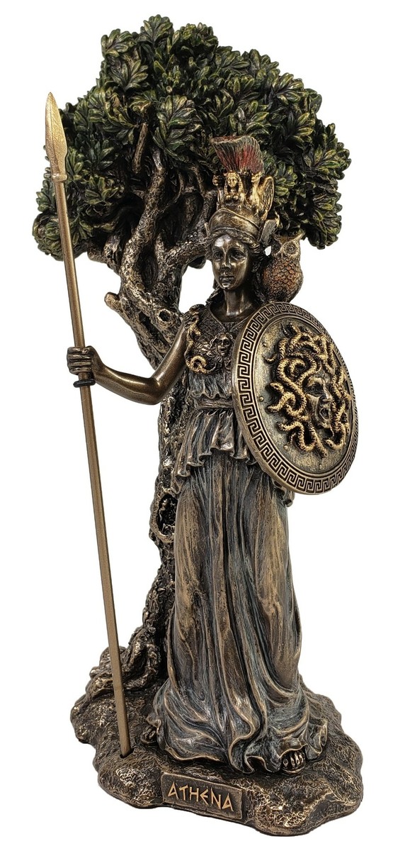 Athenas Greek Olive Tree