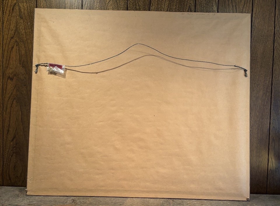 Thomas Mangelsen Signed "Giraffes at Sunset" 133/950 | eBay