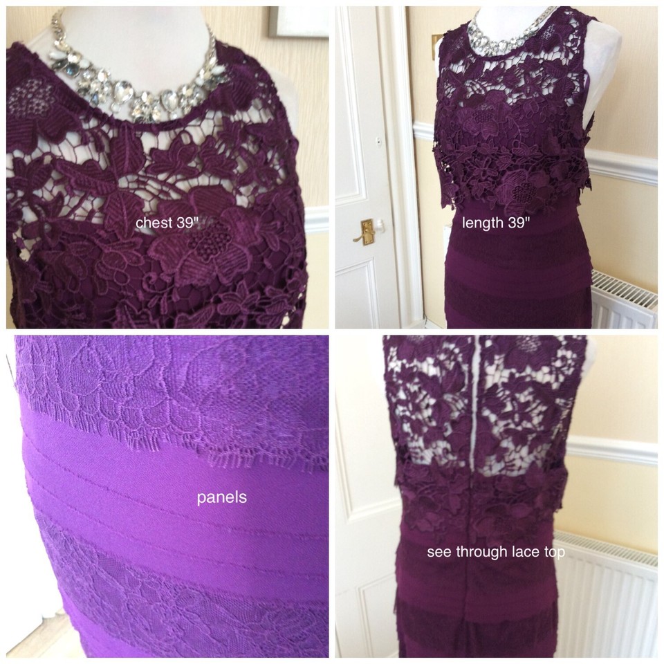 phase eight Purple Magenta Lace Panelled Wiggle Dress Size 16 Length 40 ...