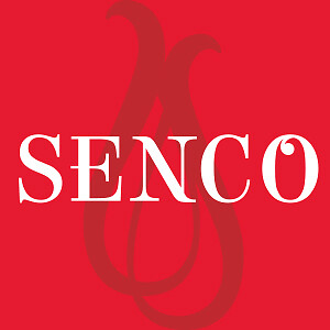 Senco Gold and Diamonds | eBay Stores