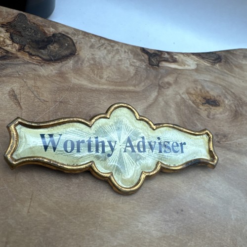 Antique Whitehead and Hoag PAT 1892 WORTHY ADVISOR Pin | eBay