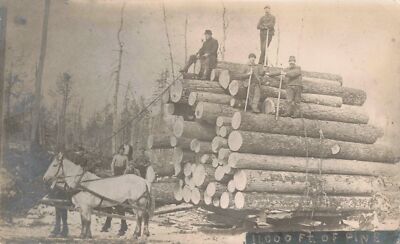 NW RPPC Northwestern Michigan Counties Logging Company HISTORICAL CREW ...