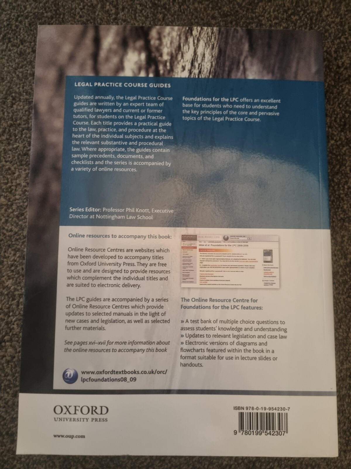 Foundations for the LPC: 2008-2009 by Paulene Denyer, Clare Firth, HM ...