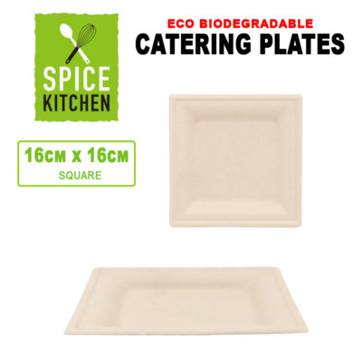 Eco Disposable Catering Plates 16x16cm Degradable Paper Party Dinner ...