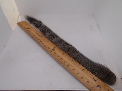 SQUIRREL TAIL - Premium Fly Tying Material - Natural Fox, Gray, Red Pine, & Dyed | eBay