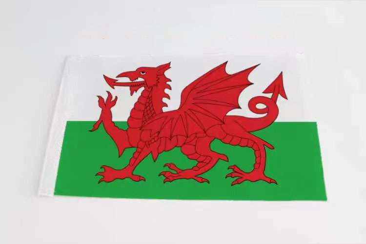 6PCS 21x14cm WALES HAND WAVING FLAG small with pole WELSH DRAGON 6 ...