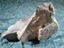 PREHISTORIC STONE MULTI-TOOL, BIRDSTONE, EFFIGY, PORTABLE ROCK ART ...