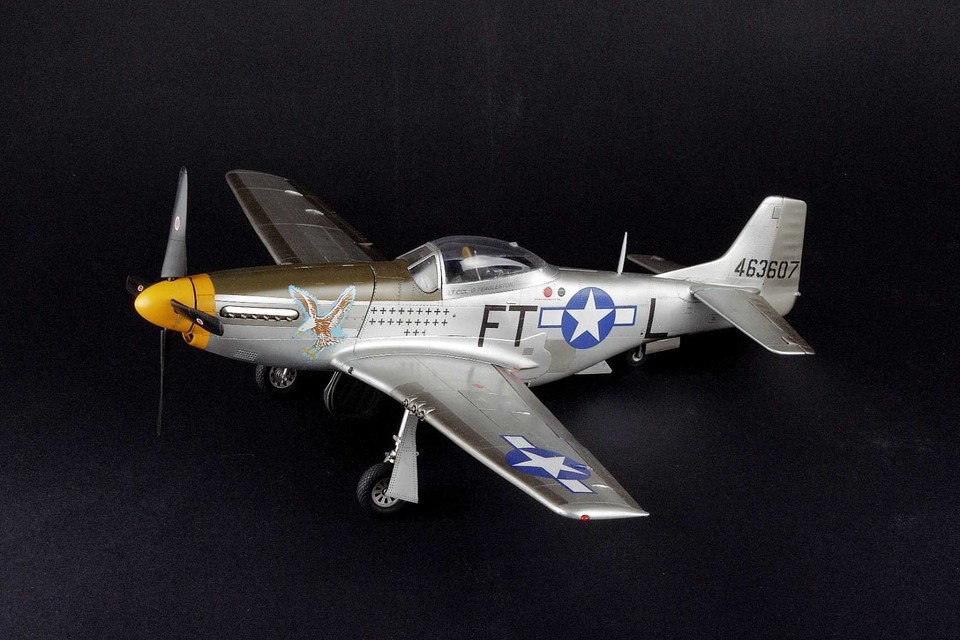 AwardWinner Built Trumpeter 1/24 Lt.Col Glenn Eagleston P-51D Feeble ...