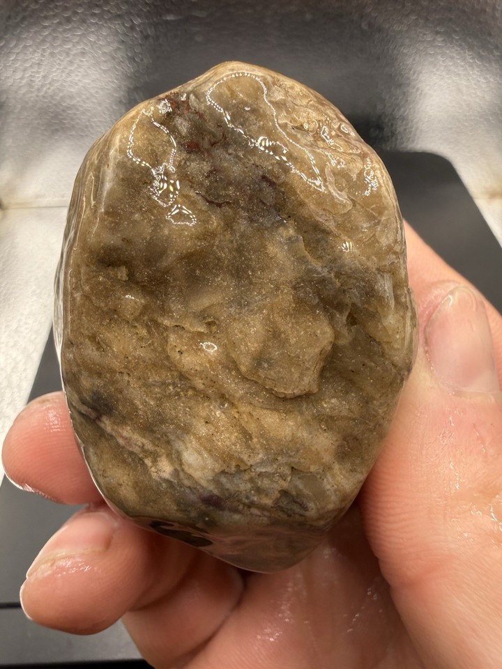 Indiana Ohio River Glacier Erratic Beach Polished Agate 660 Carats ...