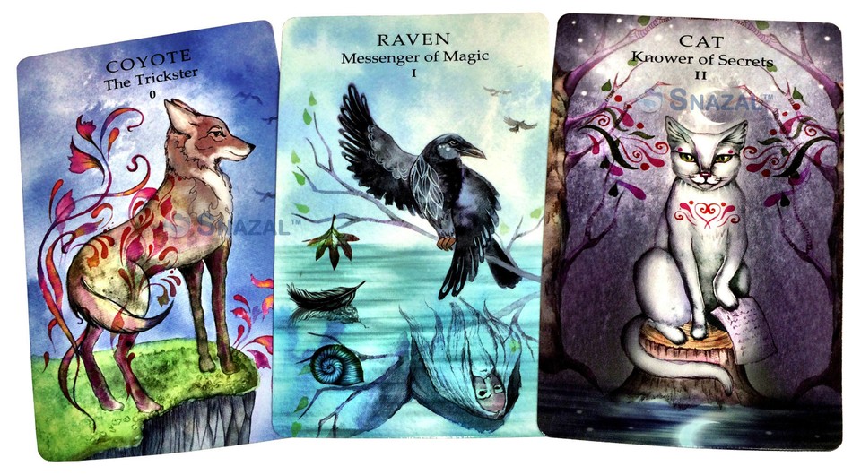 The Animal Wisdom Tarot Deck Cards Collection Box Gift Set Mind Body ...