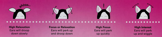 NEUROWEAR Necomimi - The last unit of the first ever UK batch ...