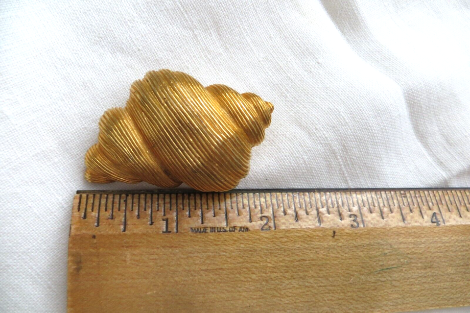 Signed Charel Vintage Gold Tone Conch Shell Brooch | eBay