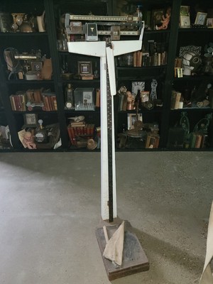 Scales - Continental Scale