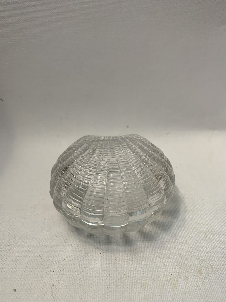 VINTAGE Crystal Clear Glass SEASHELL Clam Shell 2pc Trinket Box NICE | eBay