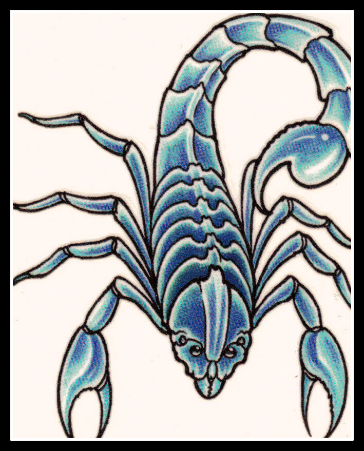 Scorpion Tramp Stamp Tattoos SCORPION STUDIOS TATTOO Updated April