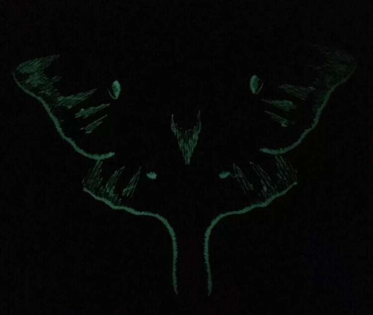 Glow in Dark Metallic Luna Moth Embroidered Drawstring Denim Backpack ...