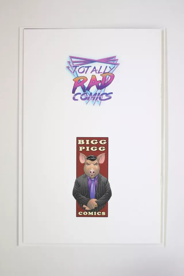 Totally Rad • Vector • CAMMY WHITE Street Fighter • Bigg Pigg Exclusive Comic | eBay