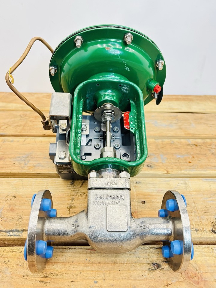Fisher Baumann 3/4” 32.24588SVF CL150 Stainless Control Valve DVC2000 ...