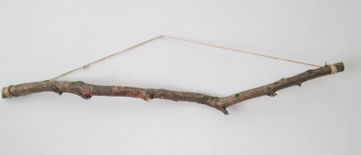 Tree Branch Stick