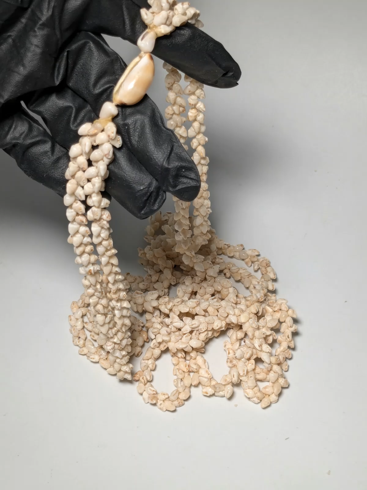 Vintage Ni'ihau Shell Lei Pikake Necklace Long 2 Strand momi shells | eBay