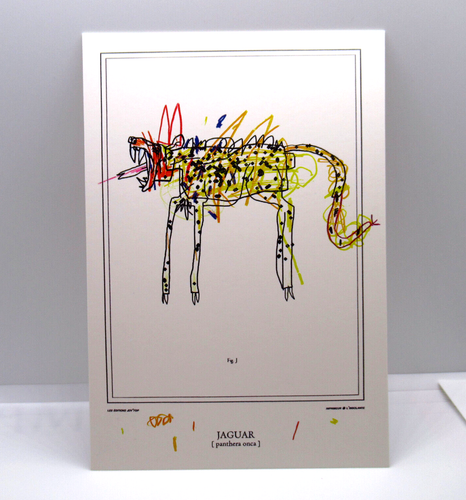 Jaguar Art Postcard Adrien Vermont Animal Box Princeton Press Unused ...