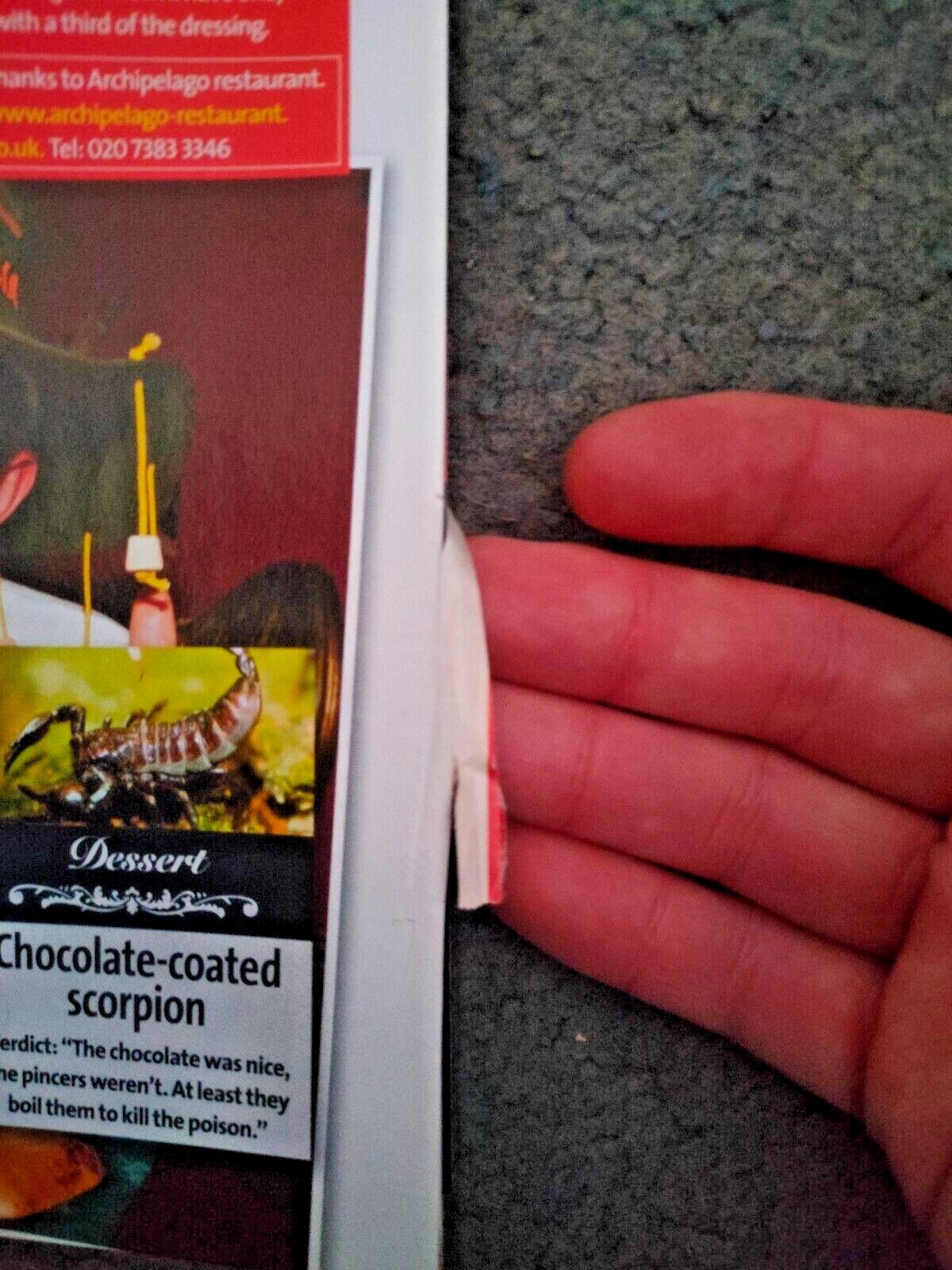 Nuts Magazines - **119 Magazines** spanning from 2007 to 2012!! (Other ...