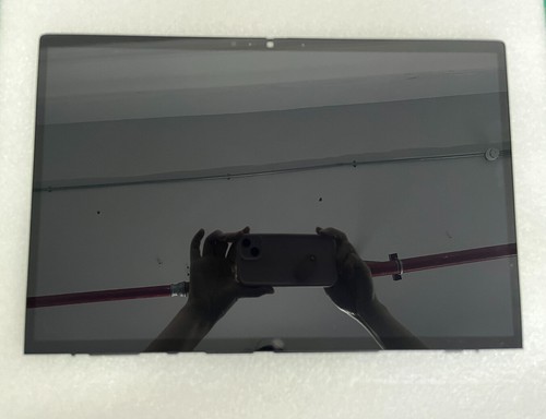 N22126-001 For HP EB 865G9 B160UAN01.L FHD 30pin LCD Raw Panel 16 ...