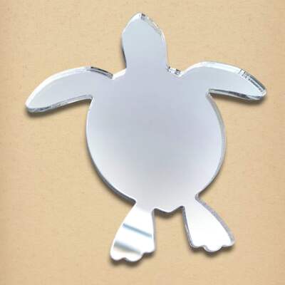Turtle Mirror | eBay Australia