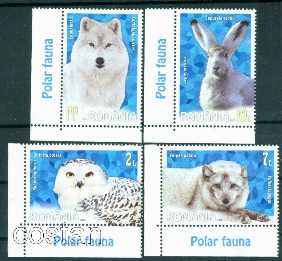 2020 Polar Fauna,Snowy Owl,Arctic Fox,Arctic Hare,Arctic Wolf,Romania,M ...