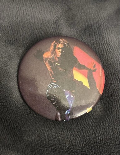 DAVID LEE ROTH - VAN HALEN Pin Vintage 90s Pinback Button Badge ...