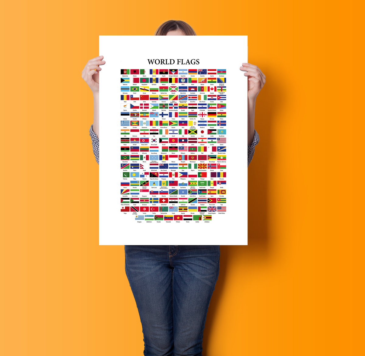 Huge Laminated World Country Flags Learning Educational Kids Poster