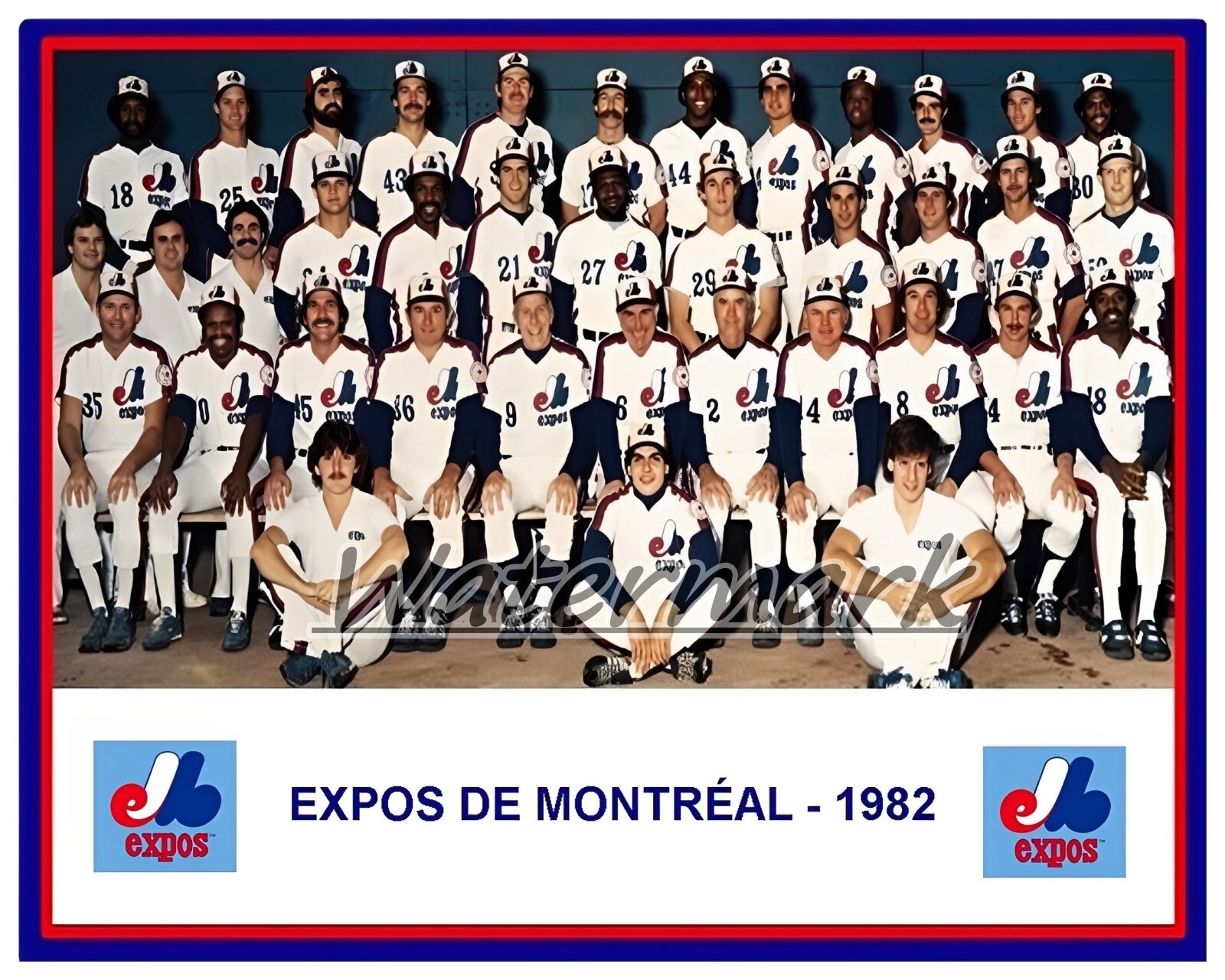 Rare MLB 1982 Montreal Expos Color Team Picture 8 X 10 Photo Picture | eBay