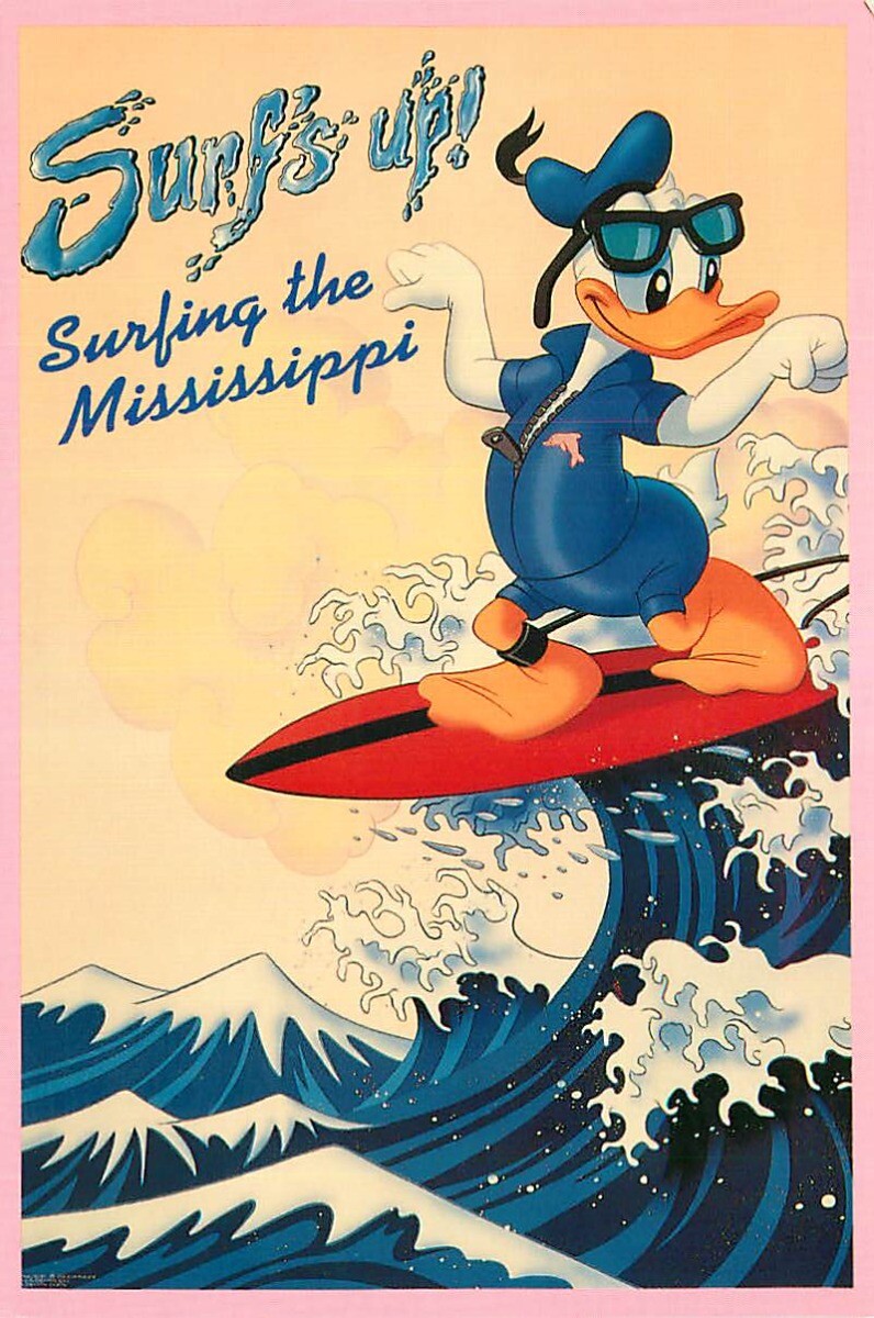 Postcard Donald Duck Surfing the Mississippi River, St. Louis, Missouri ...